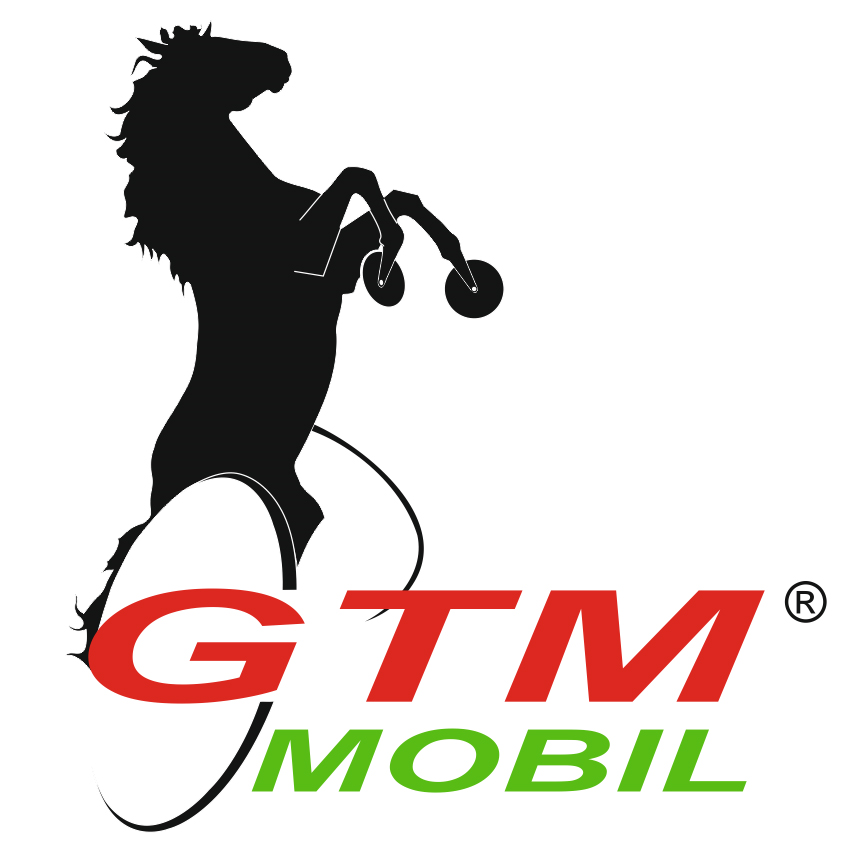 Aktyvaus tipo neįgaliojo vežimėlis GTM1 | Judėjimo priemonės